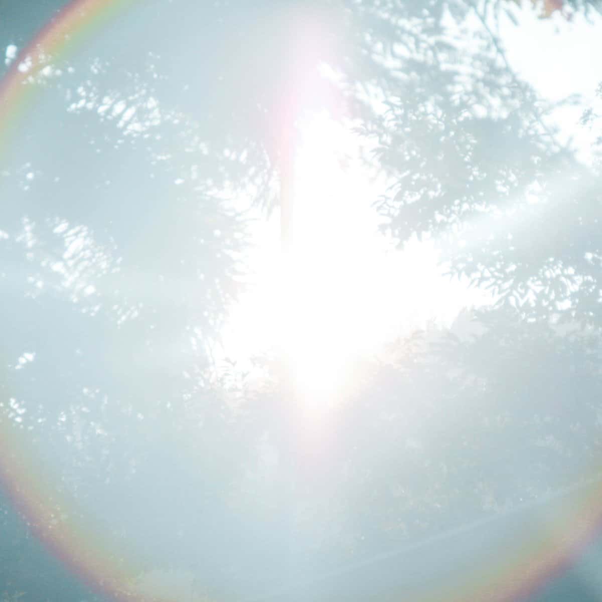 Available Light: What Is It In Photography And Cinematography ...